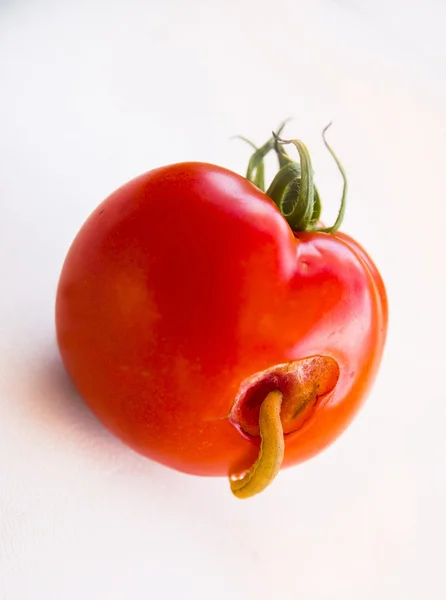 A worm climbs out of a red ripe tomato vegetable Stock Photo by ...
