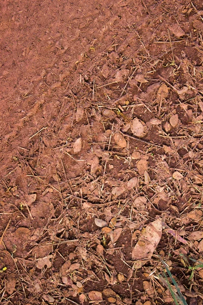 Sol argileux rouge Stock Photos, Royalty Free Sol argileux rouge Images ...