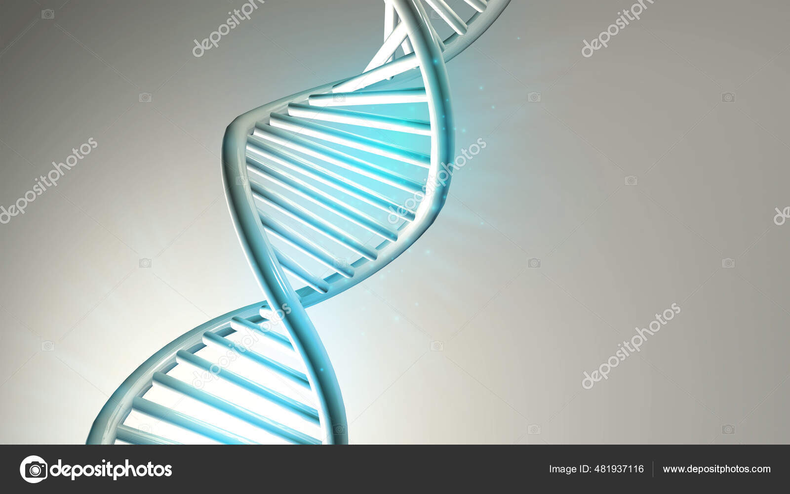 Dna Double Helix 3d
