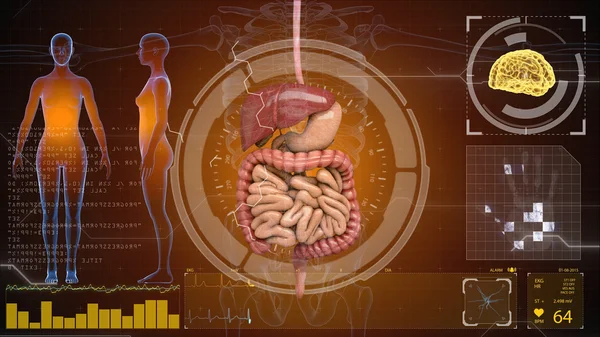 Digestive system, intestines on HUD futuristic background Stock Photo ...