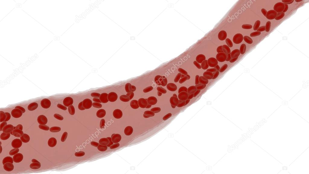 Blood cells stream in vein. Inside organism view. isolate Stock Photo ...