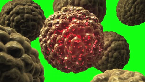 Fat cell burning. cell damage. realistic 3d animation — Stock Video ...