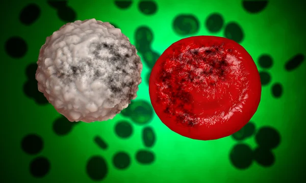 Erythrocyte, red blood cells, anatomy medical concept — Stock Photo ...