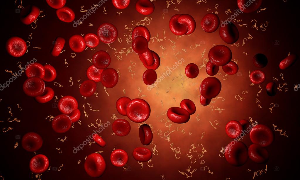 Erythrocyte, red blood cells, anatomy medical concept. inside human ...