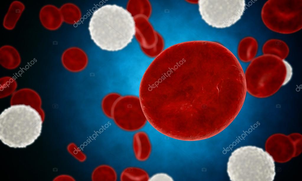 Erythrocyte, red blood cells, anatomy medical concept. inside human ...