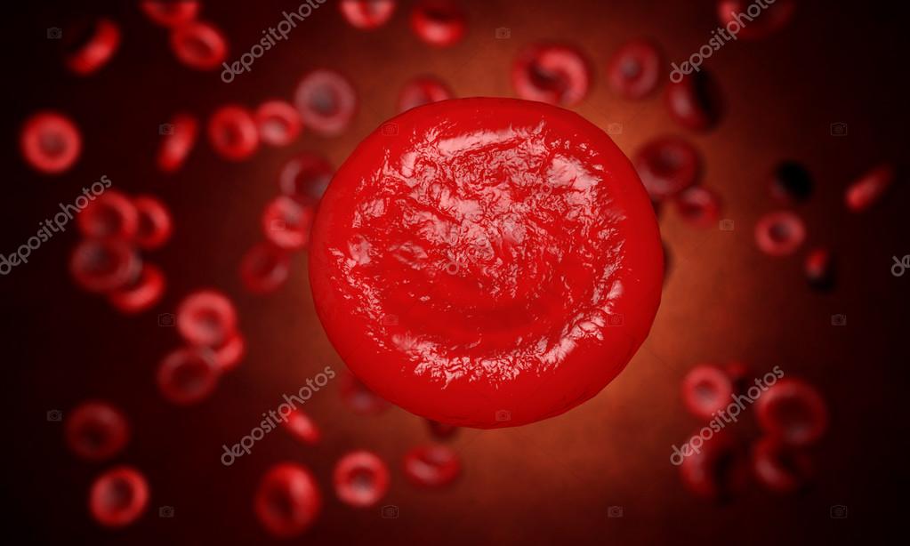 Erythrocyte, red blood cells, anatomy medical concept. inside human ...