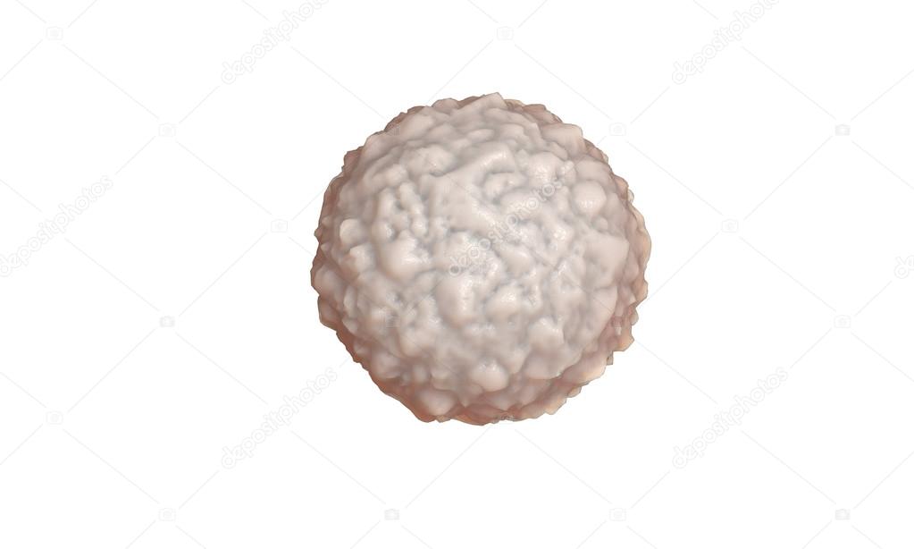 White blood cell, leucocyte. 3d render — Stock Photo © chagpg #96075618