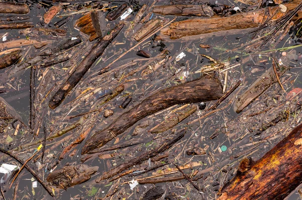 Waste in the river Stock Photos, Royalty Free Waste in the river Images ...