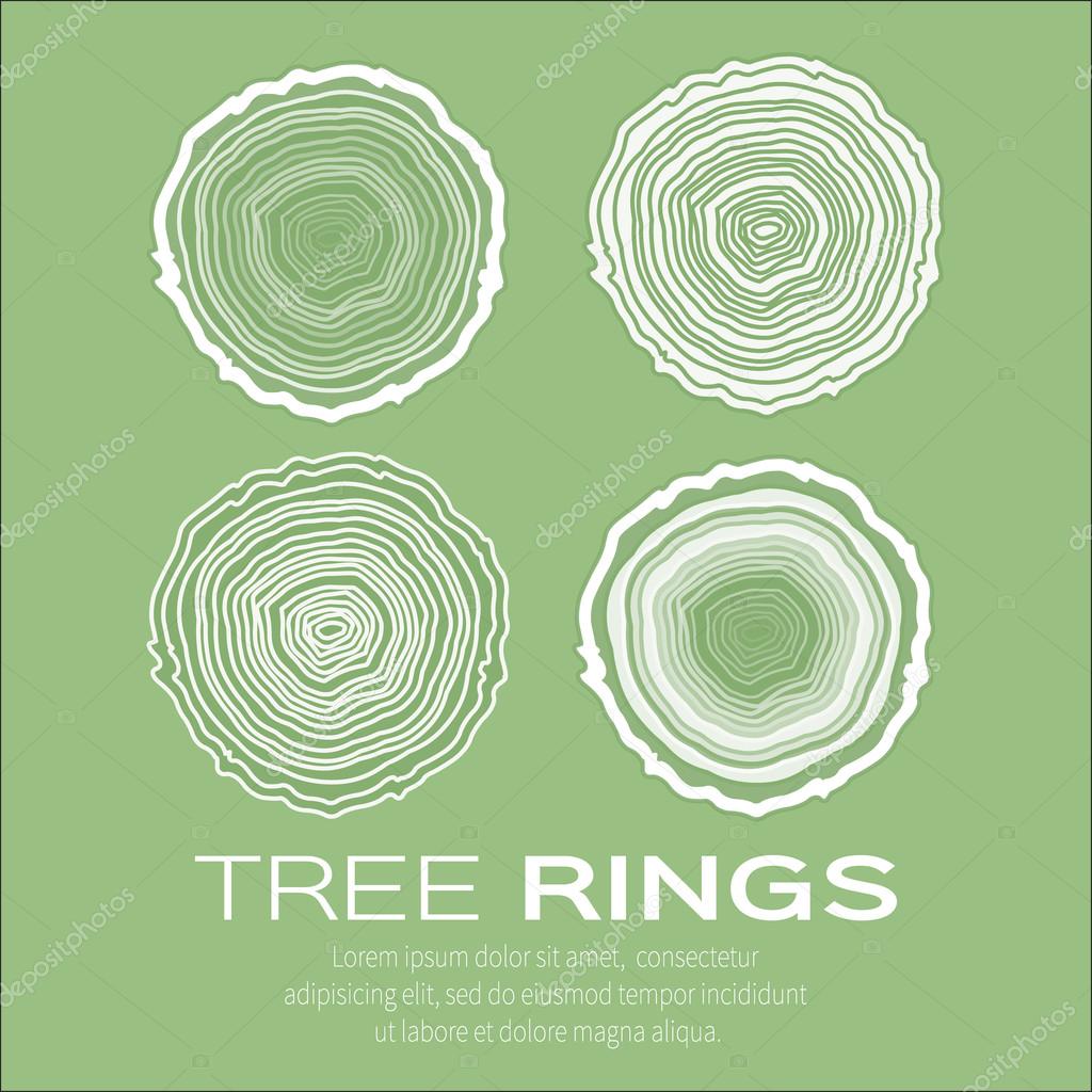 Tree rings background Stock Vector Image by ©mash3r #86718542