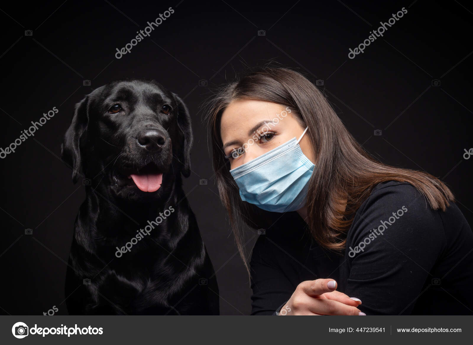 Portrait Labrador Retriever Dog Protective Medical Mask Female Owner ...