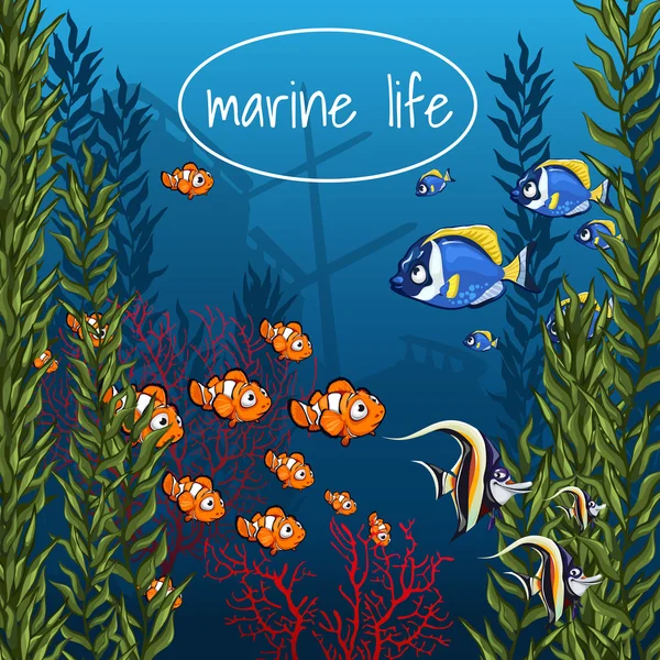 ᐈ Marine biology stock pictures, Royalty Free marine life backgrounds ...