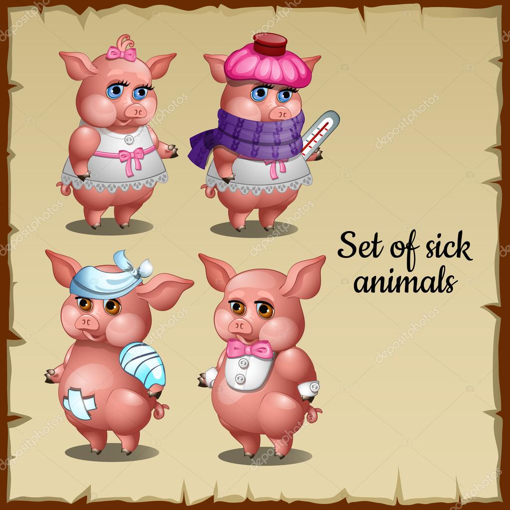 Sick and healthy piglets — Stock Vector © Anton_Lunkov #89103874
