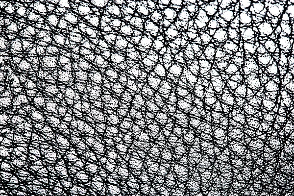 Back leather texture - Stock Image - Everypixel