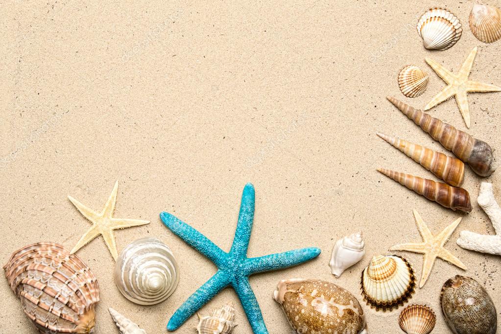 Beach Sand With Shells