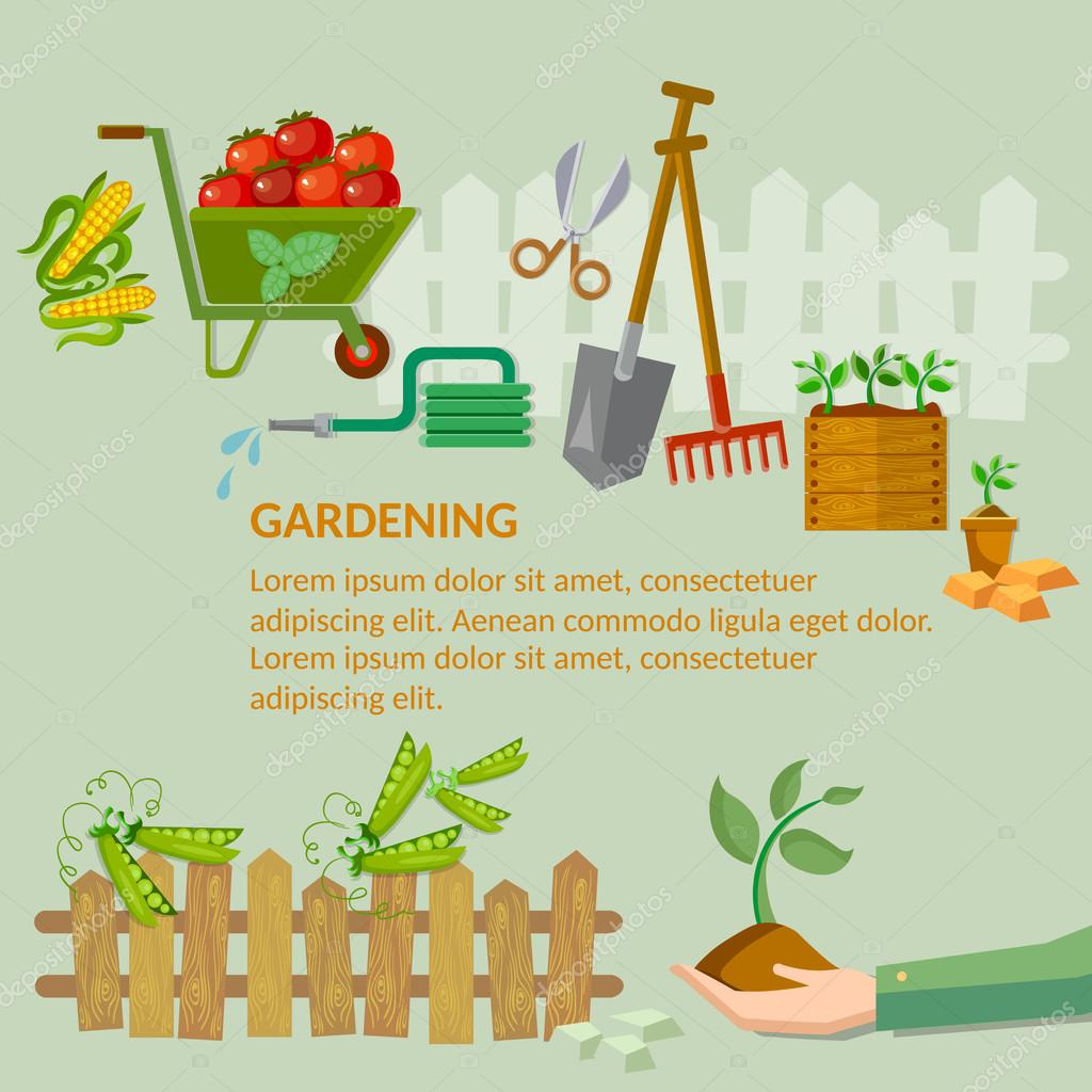 Garden agriculture growing vegetables in the garden — Stock Vector ...