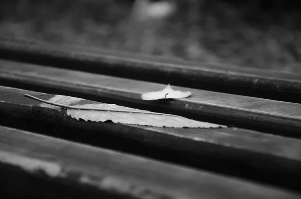 Broken promise Stock Photos, Royalty Free Broken promise Images ...