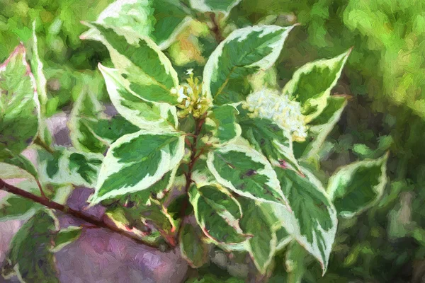 Green bush with white lines - Stock Image - Everypixel