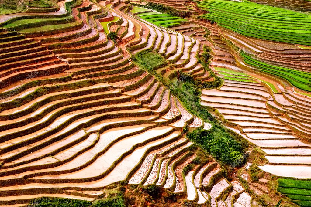 Terraces Small Plots Made Slopes Mountain Curve Has Thousands Years ...