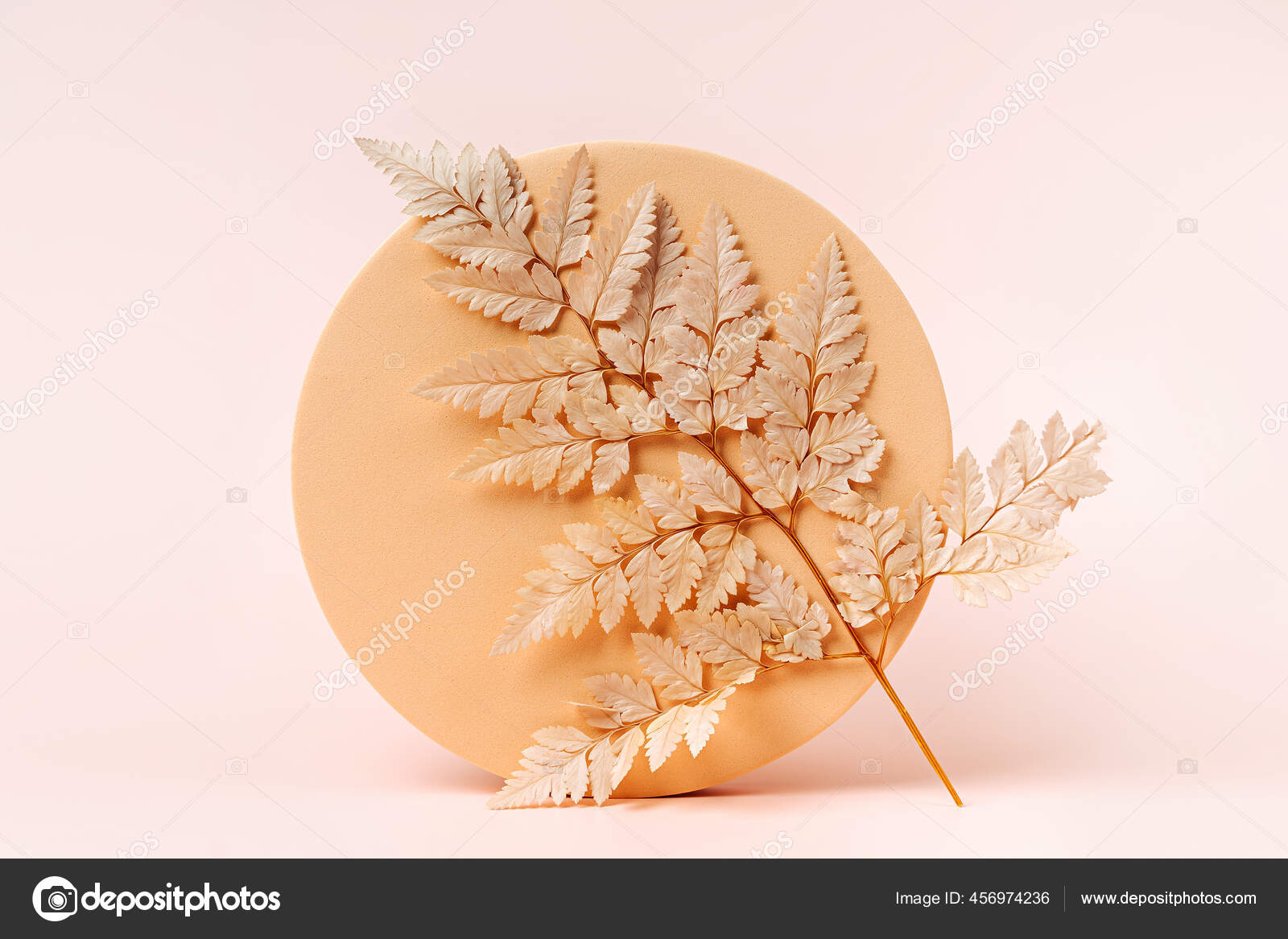Leaf Circle Show Cosmetic Products Monochrome Beige Color Background Branding Stock Photo by ...