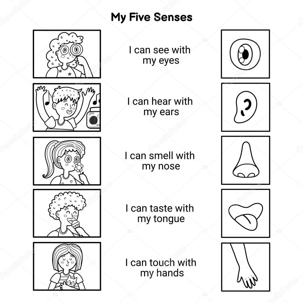 Mis cinco sentidos carteles educativos en blanco y negro para niños ...