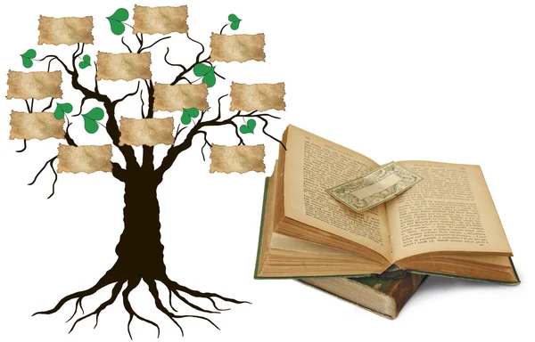 Tree book Stock Photos, Royalty Free Tree book Images | Depositphotos