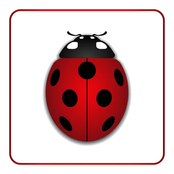 Ladybug red cartoon icon realistic Stock Vector by ©Alona_S 122240824