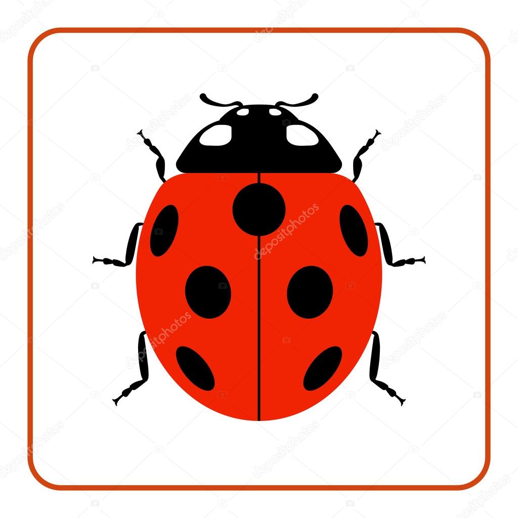 Ladybug red cartoon icon realistic Stock Vector by ©Alona_S 122241644