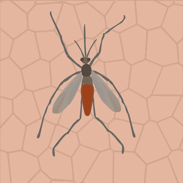 Lymphatic filariasis Vector Art Stock Images | Depositphotos