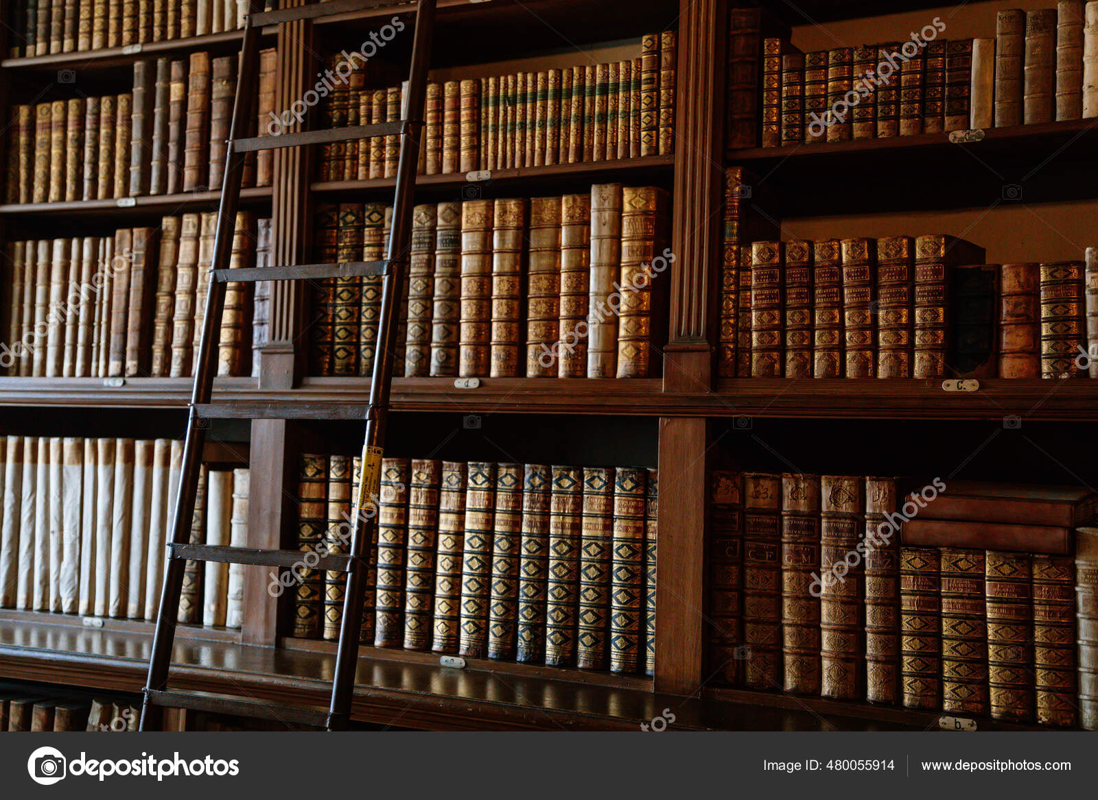 Castle Interior Library High Bookshelves Full Old Books Staircase ...