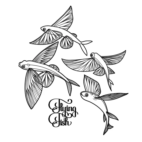 Flying fish coloring Vector Art Stock Images | Depositphotos