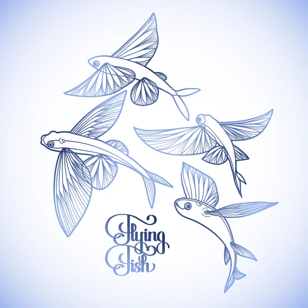 Flying fish coloring Vector Art Stock Images | Depositphotos