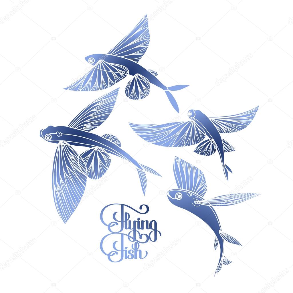 Flying Fish Design
