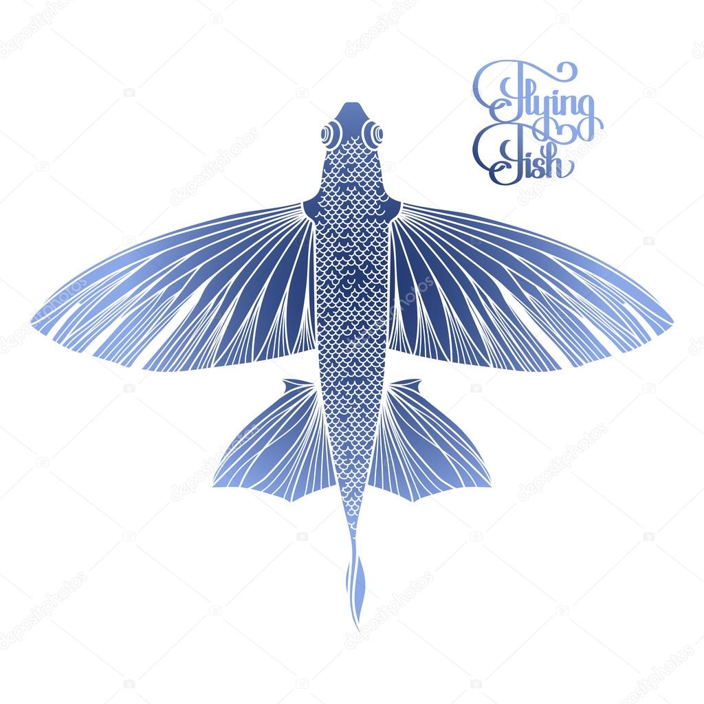 Graphic flying fish Stock Vector Image by ©homunkulus28 #104561526