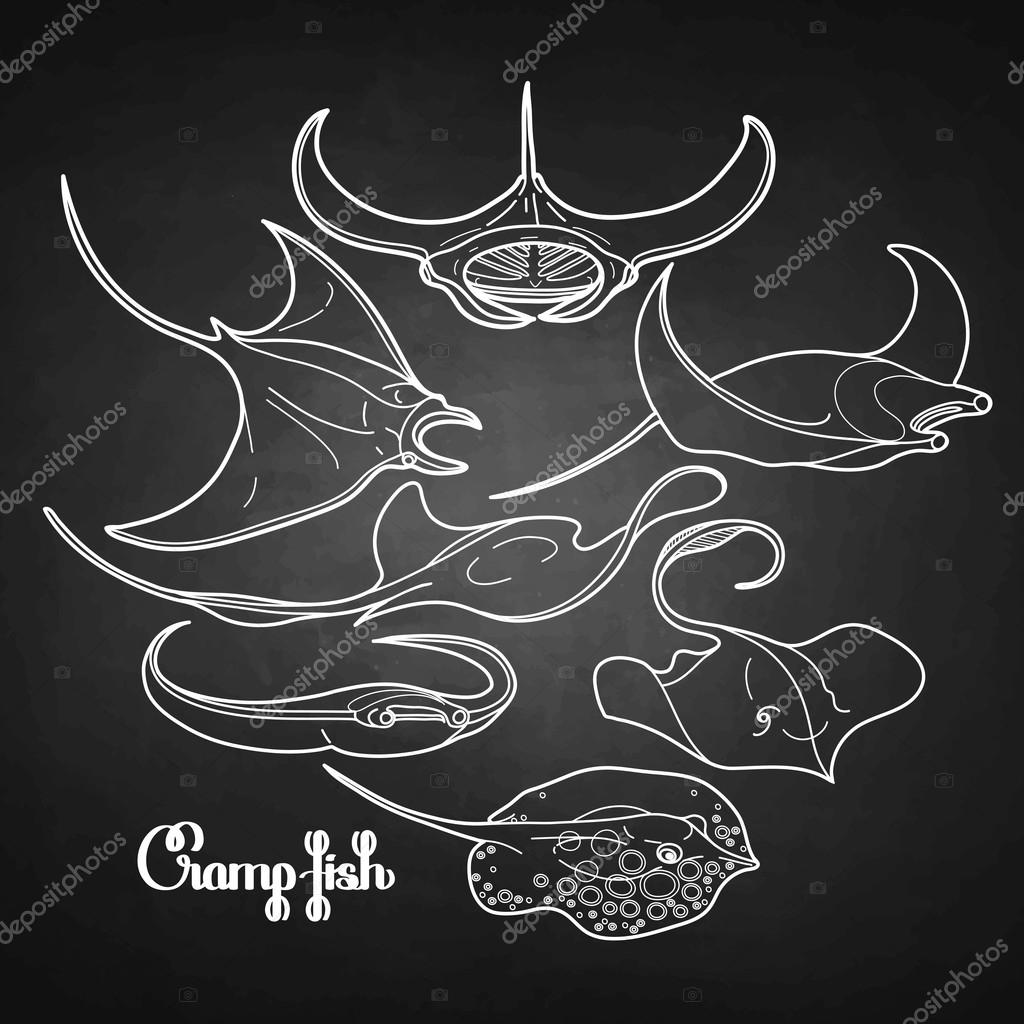Graphic cramp fish collection Stock Vector Image by ©homunkulus28 ...