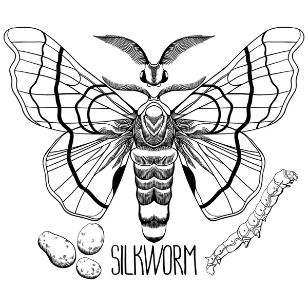 Silk Worm Clip Art