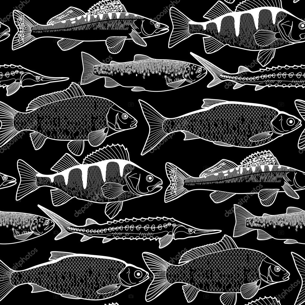 Graphic freshwater fish pattern Stock Vector Image by ©homunkulus28 ...