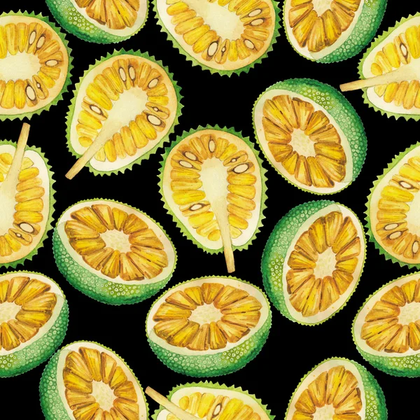 Watercolor jackfruit pattern Stock Photo by ©homunkulus28 108920132