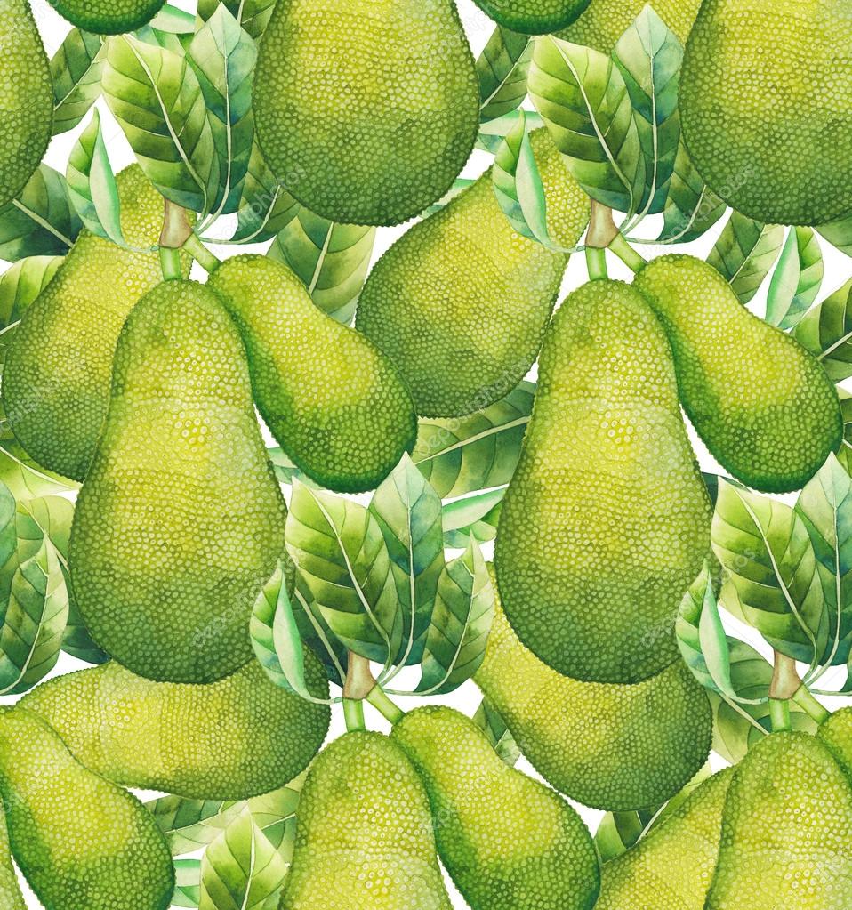 Watercolor jackfruit pattern Stock Photo by ©homunkulus28 108920132