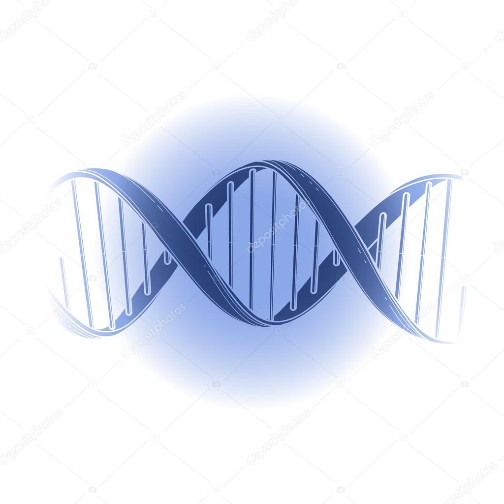 Estructura gráfica del ADN Vector de stock por ©homunkulus28 114376758