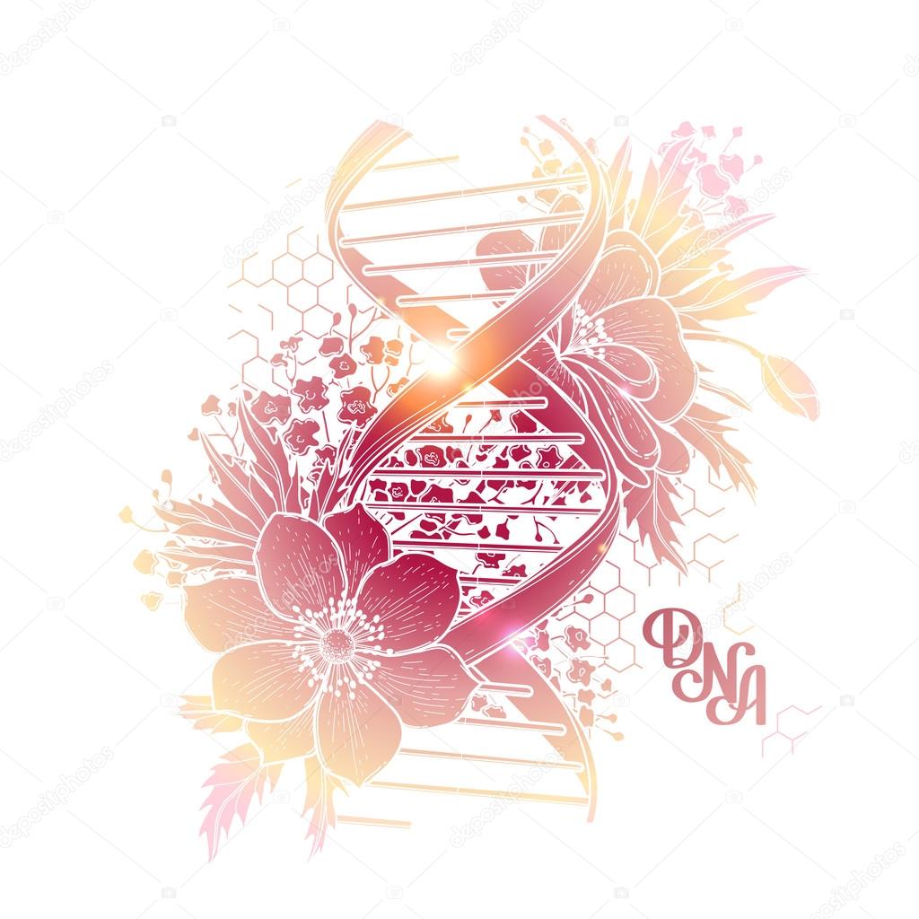 Graphic DNA structure Stock Vector Image by ©homunkulus28 #114376832