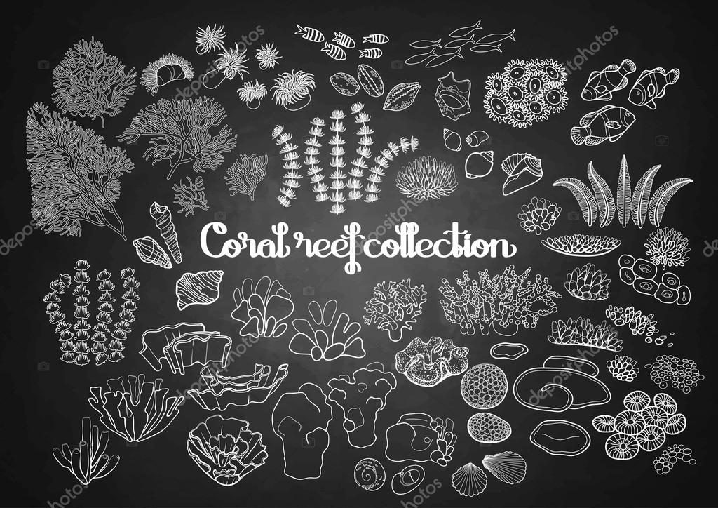Collection of coral reef elements Stock Vector Image by ©homunkulus28 ...