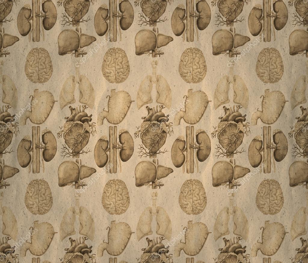 Watercolor organs pattern Stock Photo by ©homunkulus28 93563824