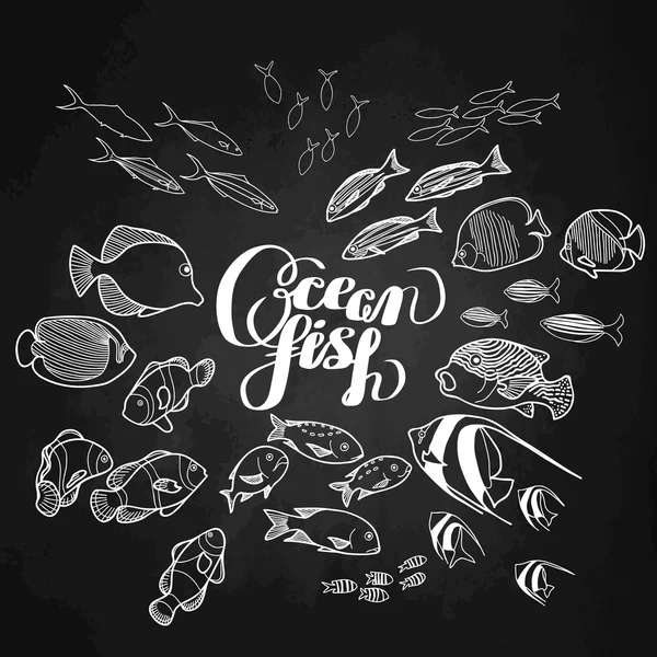 Graphic ocean fish design — Stock Vector © homunkulus28 #106293812