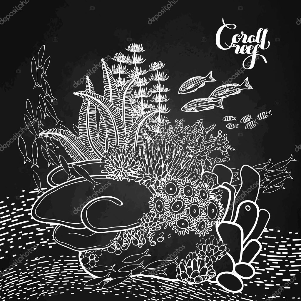 Coral reef design Stock Vector Image by ©homunkulus28 #94224590