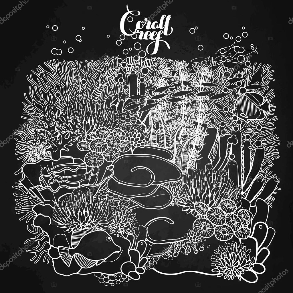 Coral reef design Stock Vector Image by ©homunkulus28 #94601566