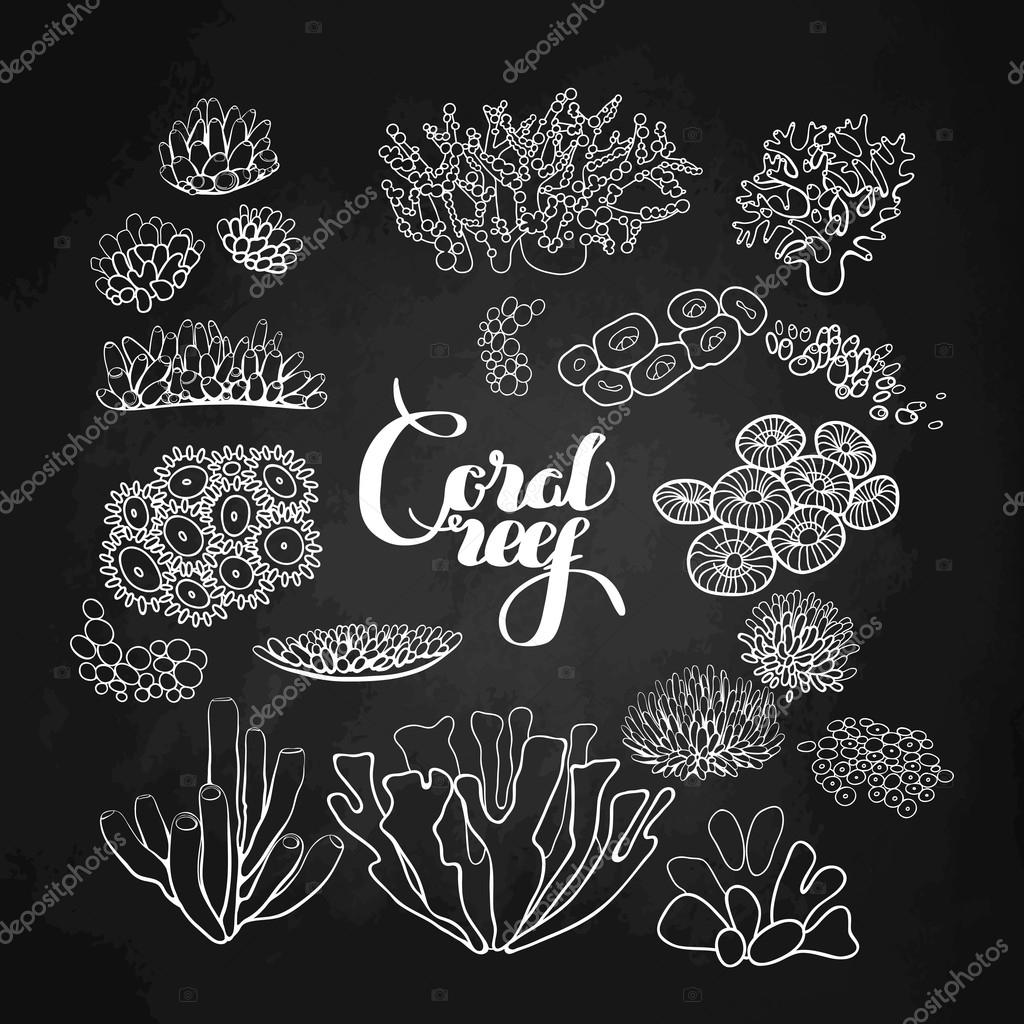 Collection of coral reef elements Stock Vector Image by ©homunkulus28 ...