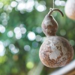 Apple in the sky Stock Photo by ©Alperium 1886128