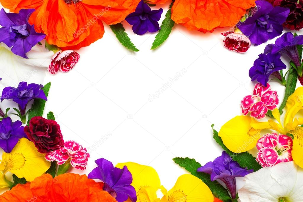 A collection of beautiful flowers. — Stock Photo © FlowerStudio #111787782