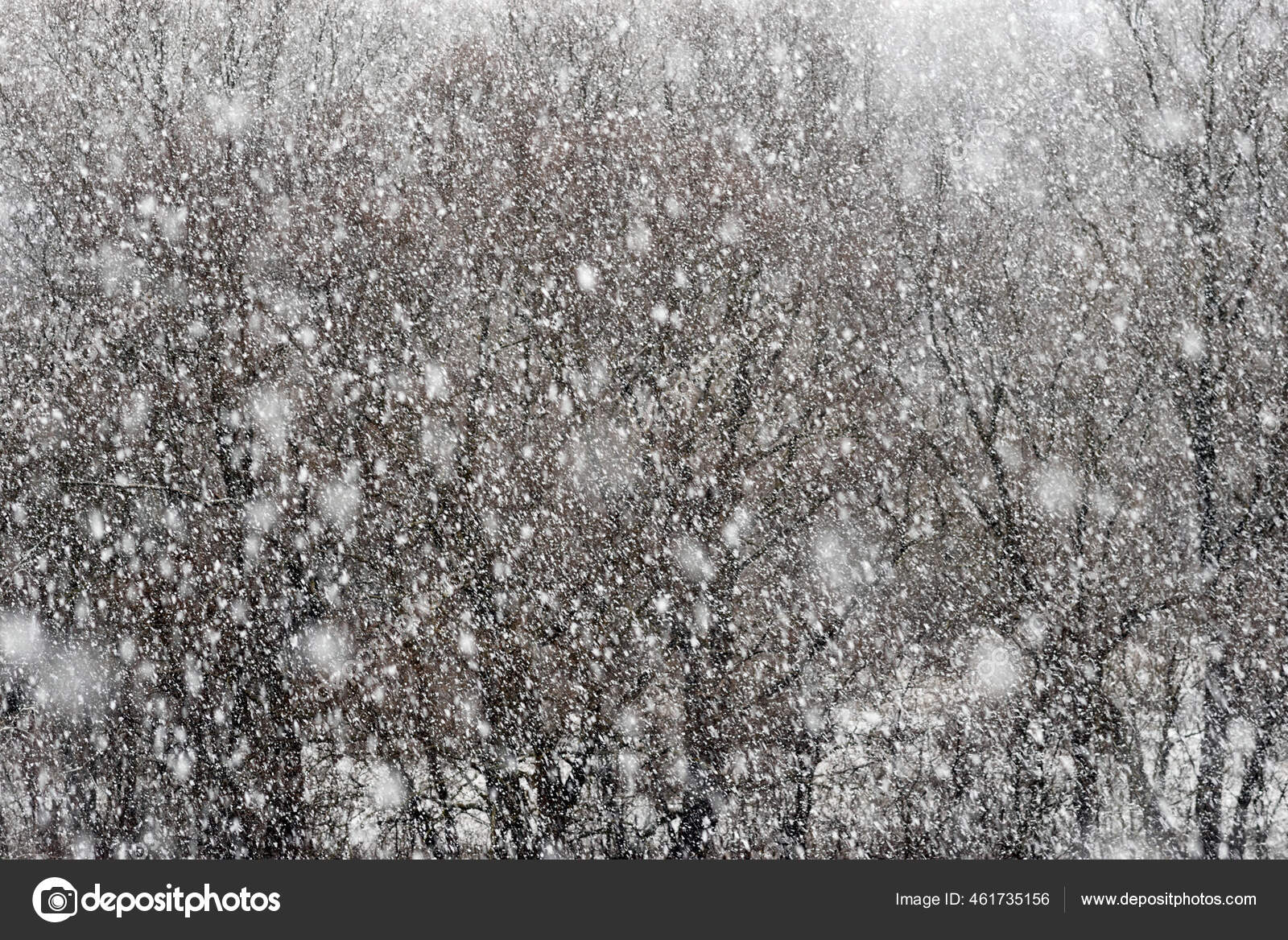 Spring Unexpectedly Heavy Snow Began Fall Winter Abundant Thick Flakes ...