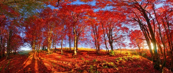 Red scenery Stock Photos, Royalty Free Red scenery Images | Depositphotos